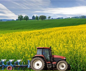 Veteran mine developer joins Western Potash - MINING.COM