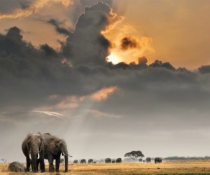 African Barrick Gold hikes Tanzanian Nyanzaga resource - MINING.COM