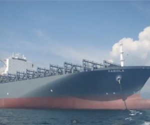Enormous container ship has limited choices to unload cargo - MINING.COM