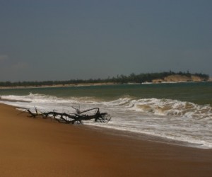 India's state-owned rare earth miner heading for Odisha's beaches ...