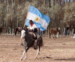 Vale halts $6 billion potash project in Argentina - MINING.COM
