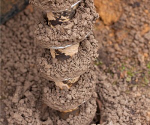 Kinross Gold puts Tasiast expansion at US$2.7 billion - MINING.COM