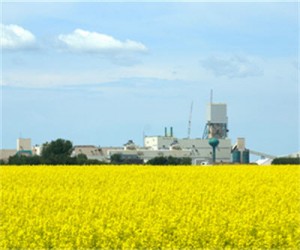 Saskatoon potash producer signs agreement with China - MINING.COM