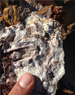 Cayden hits best Mexico grades yet - MINING.COM