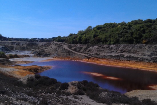 Scientists test algae to harvest precious metals and biofuel from ...