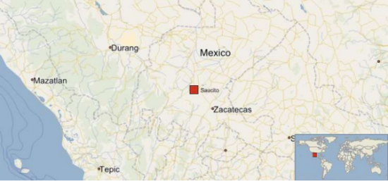 Fresnillo says pipeline rupture contained - MINING.COM