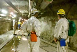 Harmony Gold suspends Tshepong mine project, warns of profit hit ...