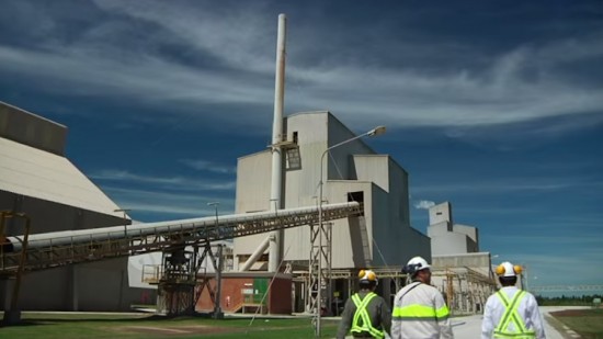 Mosaic's Brazilian unit resumes operations in Catalao mine - MINING.COM