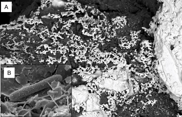 El origen de las pepitas de oro