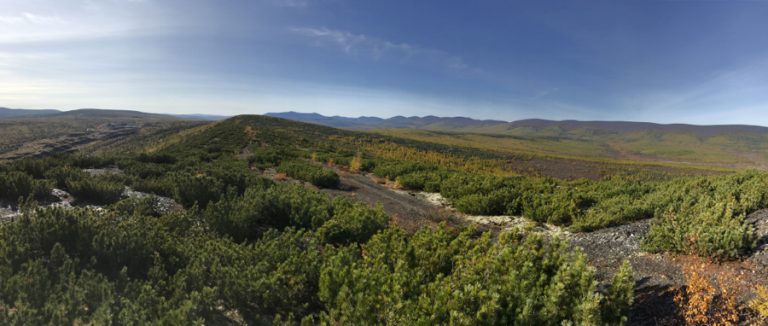 Russia's Polyus big step closer to building world's largest new gold ...