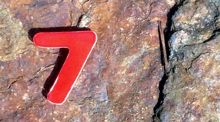 Seven new powerhouses to drive mineral demand: EMR exec - MINING.COM