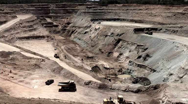 Golden Reign and Marlin Gold merge to form Mako Mining - MINING.COM