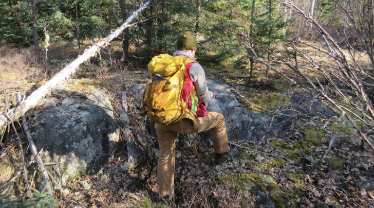Great Bear reports wide, shallow gold intervals from the LP fault ...