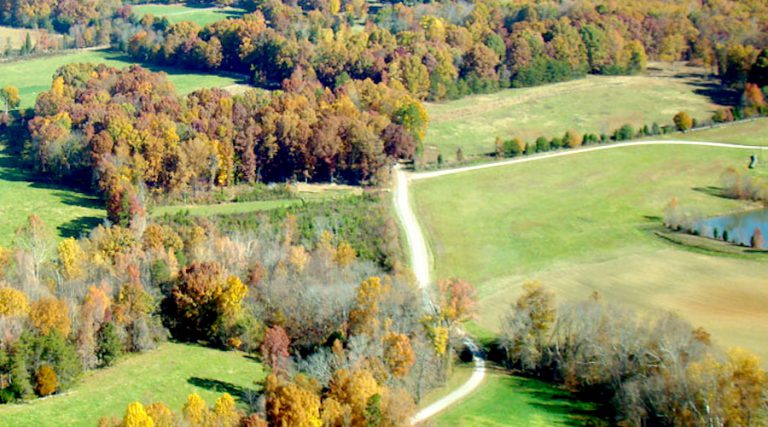 Virginia uranium-mining ban upheld by US Supreme Court - MINING.COM