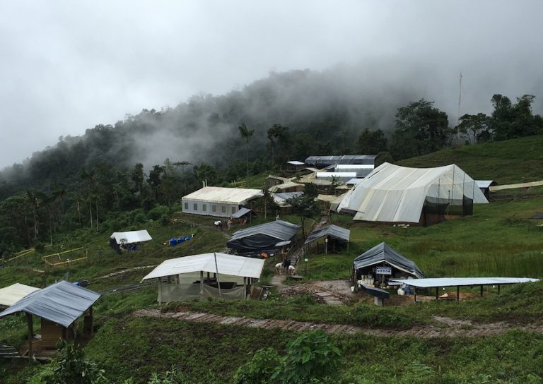 BHP becomes Ecuador-focused SolGold’s largest shareholder - MINING.COM