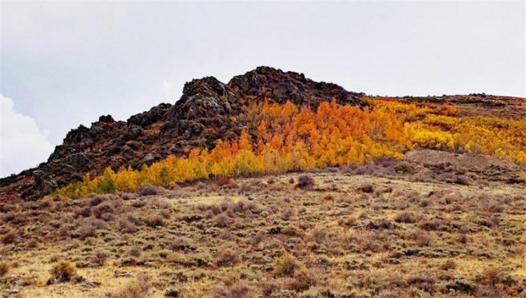 Orla Mining expands into Nevada with $187m Gold Standard Ventures ...