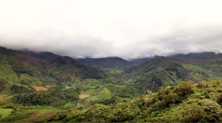 SolGold scores again at Cascabel project - MINING.COM