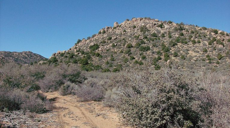 Dunnedin acquires copper-molybdenum-silver project in Arizona - MINING.COM