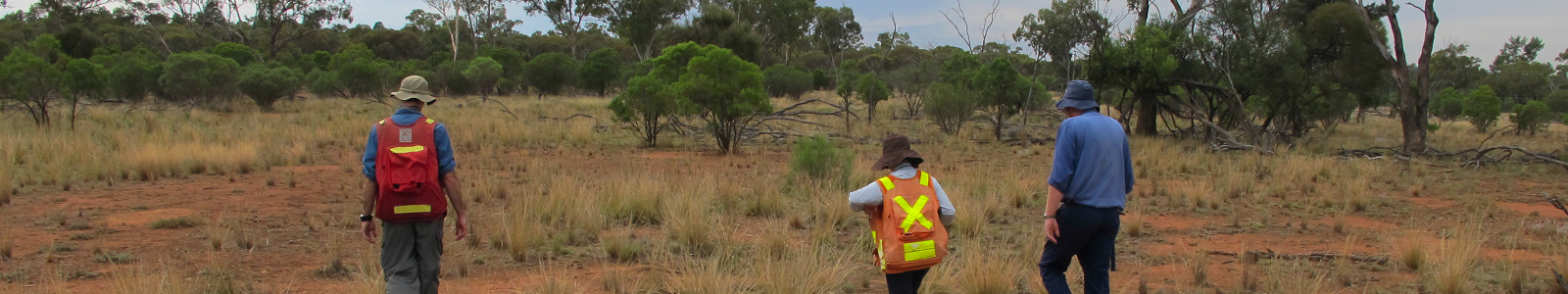 SRK - Exploration Geology - MINING.COM