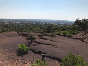 Giyani Metals exits gold exploration in South Africa - MINING.COM