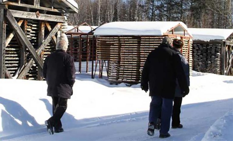 Quebec Snapshot: Eight companies to watch - MINING.COM