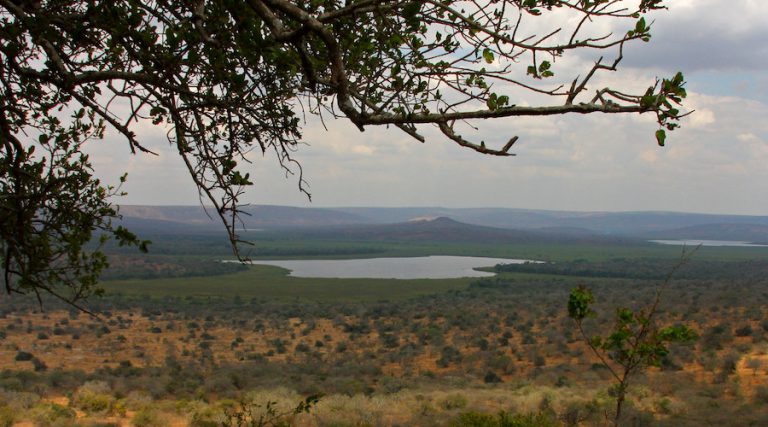 Uganda says exploration results show it has 31 million tonnes of gold ...