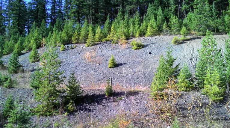Inomin expands Beaver-Lynx nickel project - MINING.COM