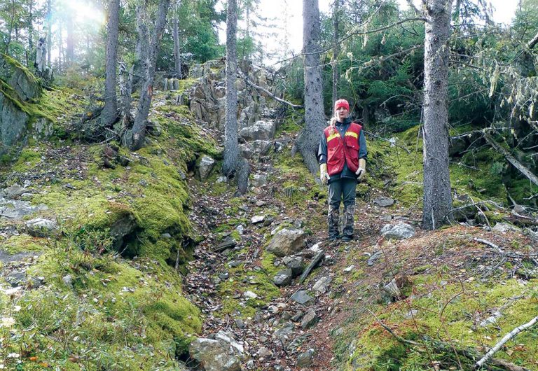 Kinross continues drilling Rockcliff’s Laguna project - MINING.COM