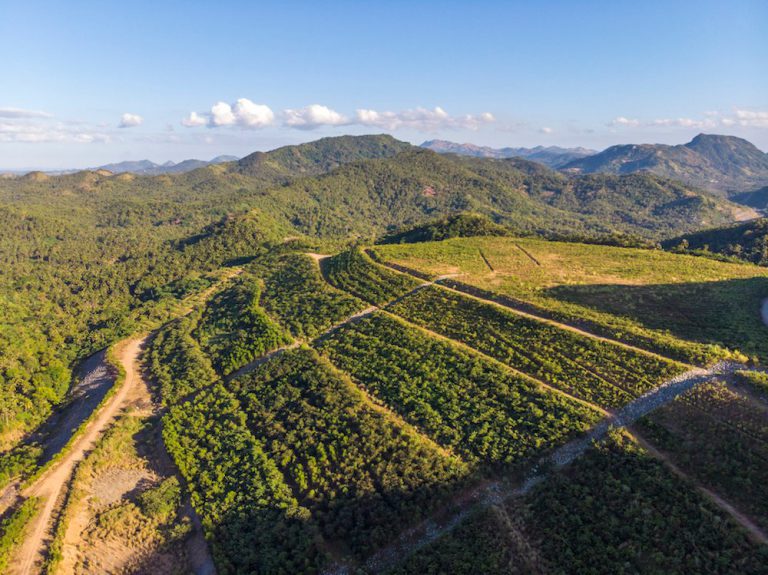 B2Gold posts record production, revenue in Q1 - MINING.COM