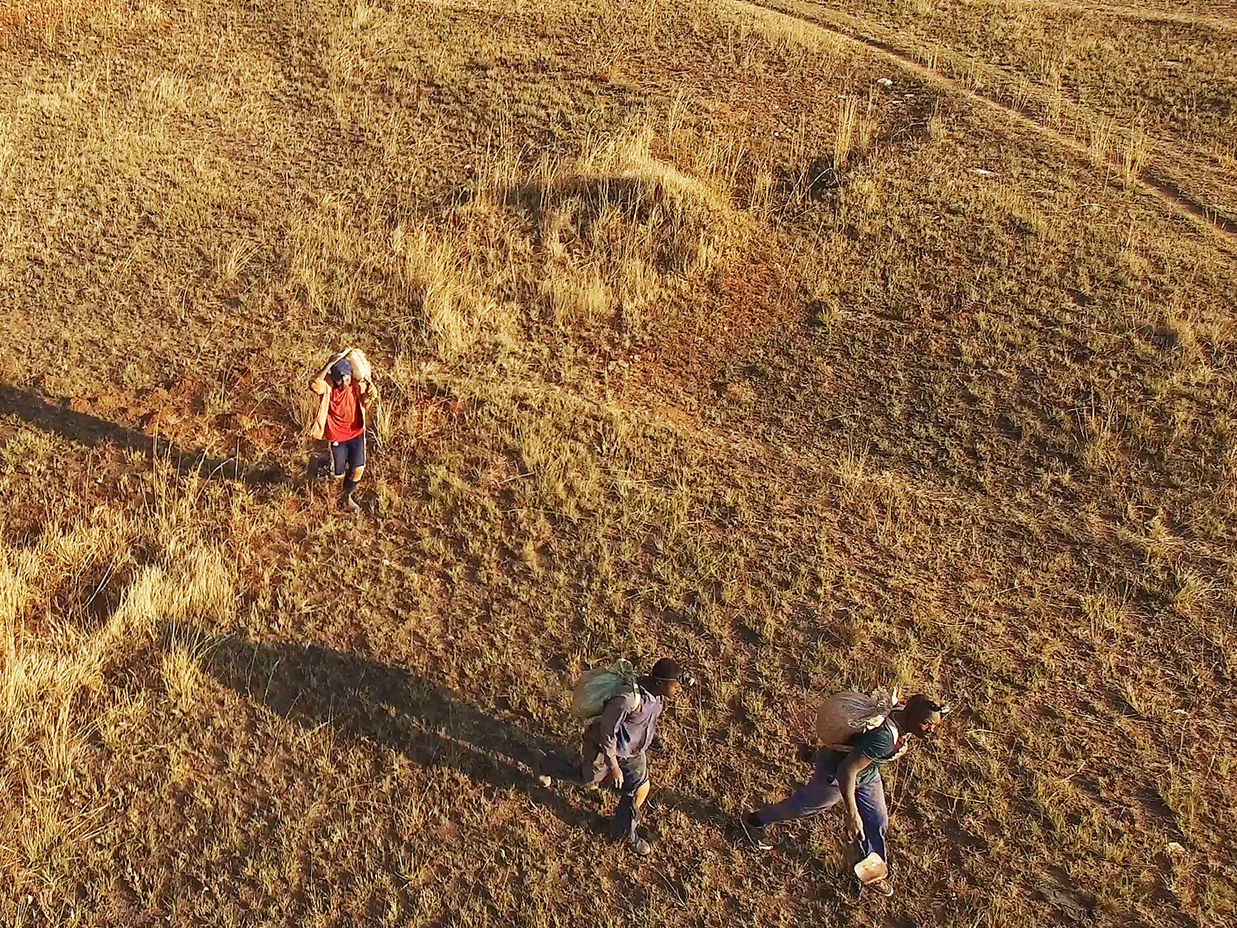 Zama zama - MINING.COM