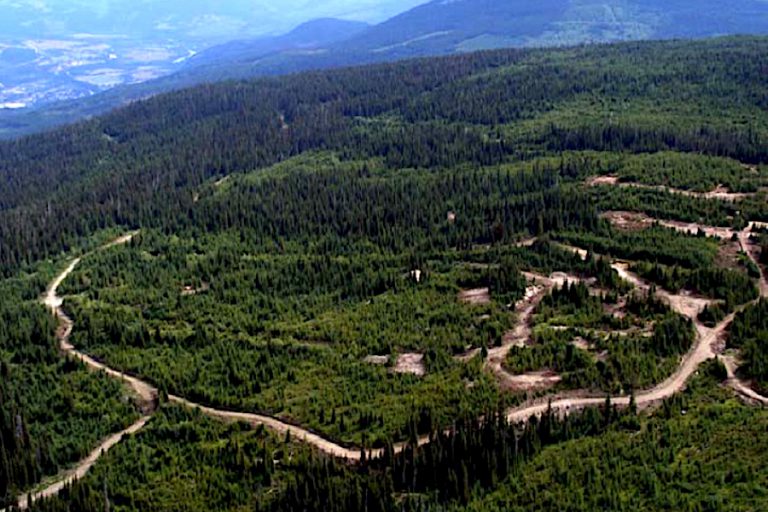 Taseko starts Yellowhead copper project talks - MINING.COM