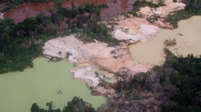 Venezuelan MP says terrorist group controls mining operations in the ...