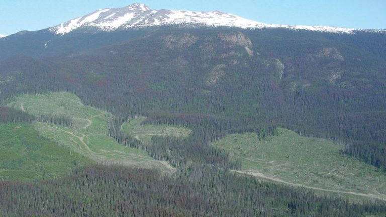 FPX Nickel tests potential carbon neutral operation at Baptiste ...