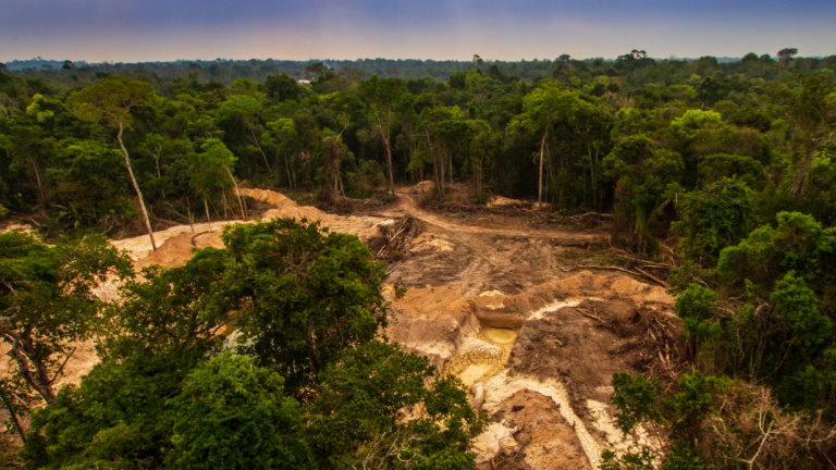 Mining in the Amazon threatens 20% of indigenous lands - report ...