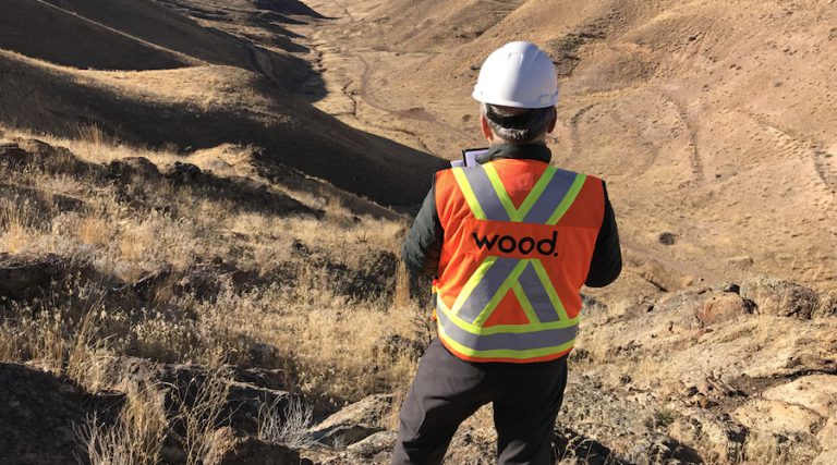 First Vanadium strikes gold at Carlin project in Nevada - MINING.COM