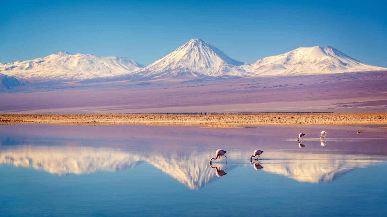 Inside SQM's struggle to win over indigenous communities in Chile's ...