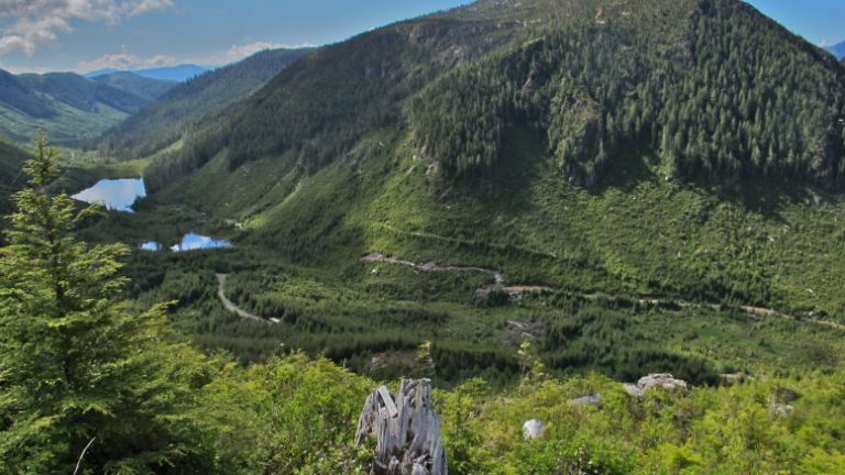 Northisle Copper and Gold updates resource ahead of PEA release ...