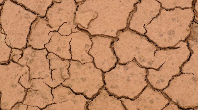 Real-time measuring of tailings clay content may optimize reclamation ...