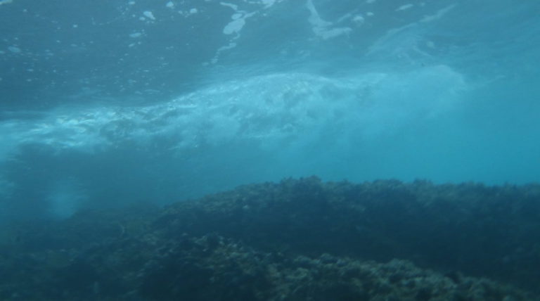Deep Sea Minerals to list on Nasdaq - MINING.COM