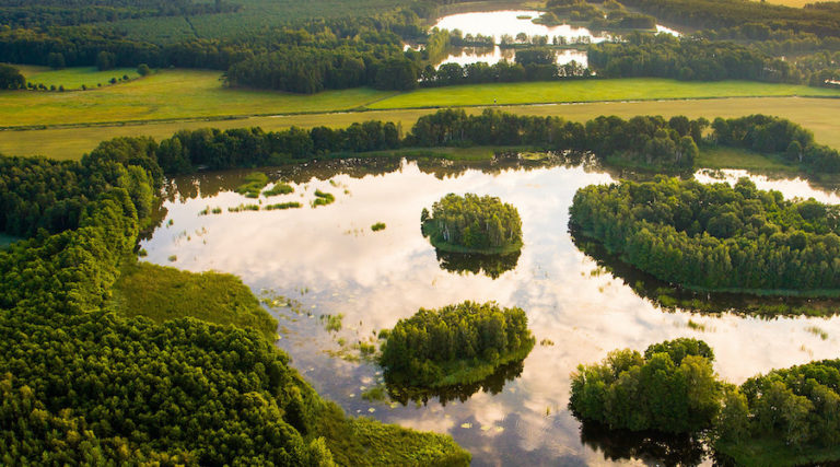 Rewetting peatlands can help clean up acid mine drainage - MINING.COM