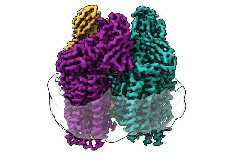 Scientists get closer look at how methane-eating bacteria turn ...