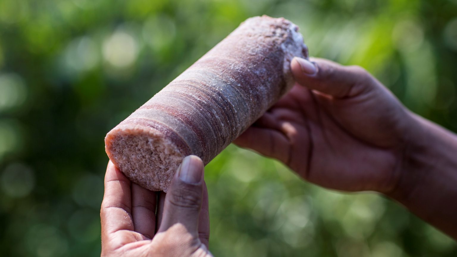 Potash prices to normalize by 2023, says Brazil Potash president ...