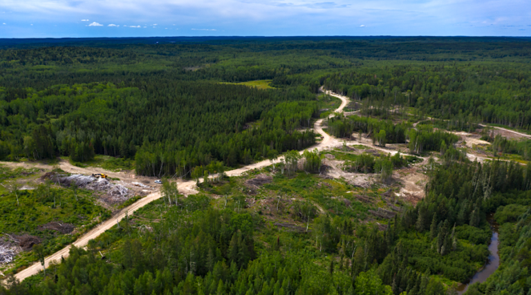 Kinross Gold lifts Great Bear inferred resource by 45% - MINING.COM