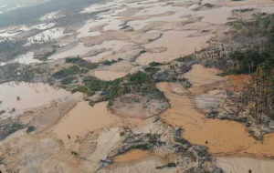 Half a million dollars worth of equipment destroyed at illegal mining ...