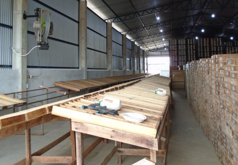 Aura Minerals advances Matupá gold project in Brazil closer to ...