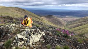 What's next for the USGS critical mineral list - MINING.COM