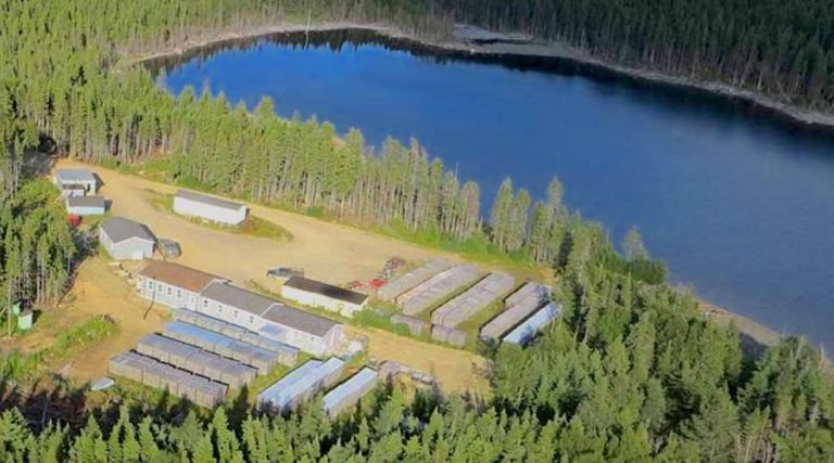 Marathon Gold begins early works at Valentine project in Newfoundland ...