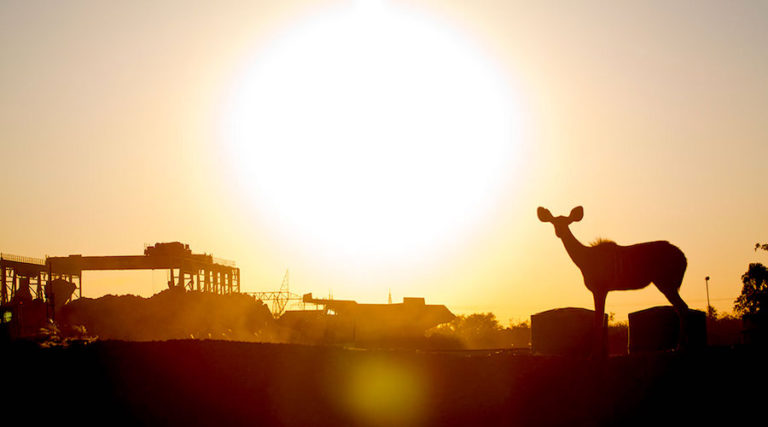 Higher-grade ore boosts De Beers diamond output - MINING.COM