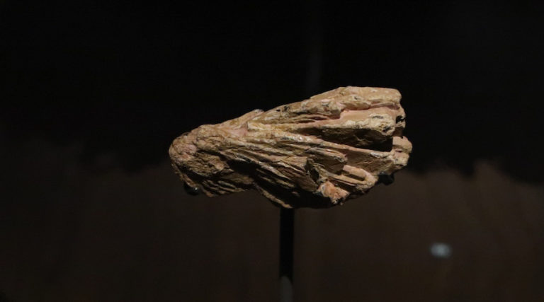 Electrokinetic mining allows for green, efficient recovery of REEs ...