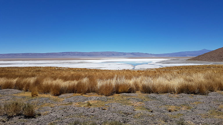 JV Article: Argentina Lithium capitalizes on EV demand for critical ...
